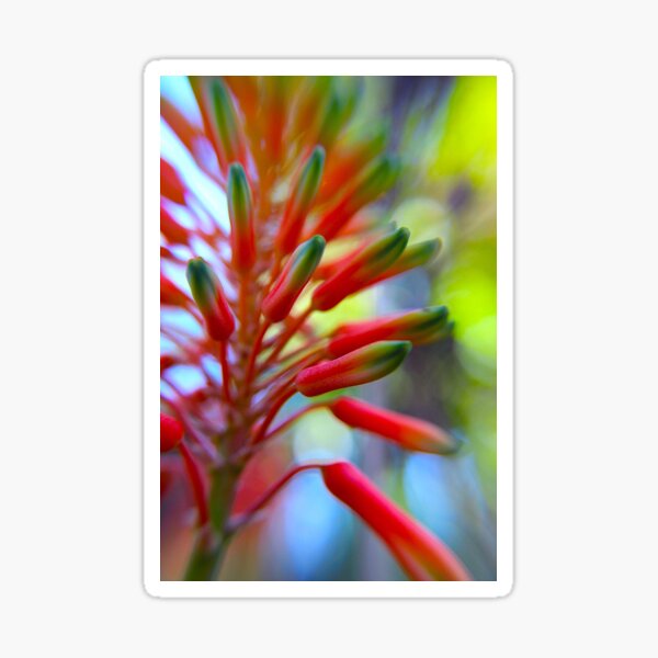 "Flow" Sticker for Sale by equilibrio | Redbubble