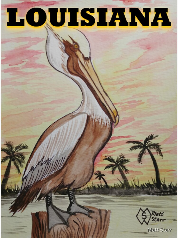 "Louisiana Pelican" Sticker for Sale by mattstarr | Redbubble