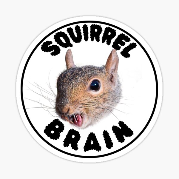 "Squirrel Brain" Sticker for Sale by sigrid-artworks | Redbubble