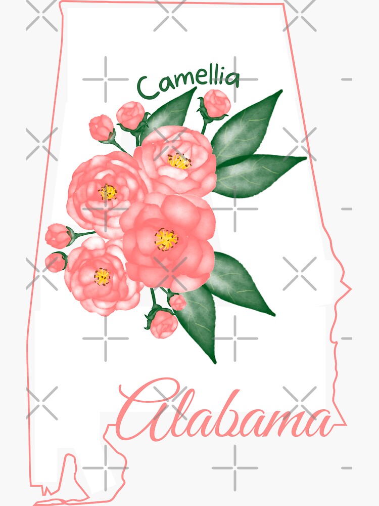 "Alabama State Flower Camellia Japonica" Sticker for Sale by ...