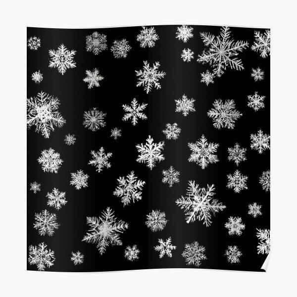 "Snowflakes" Poster for Sale by OKAYphotoshop | Redbubble