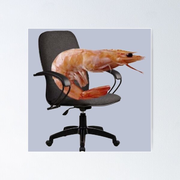 "Shrimp Posture" Poster for Sale by Maddy0410 | Redbubble