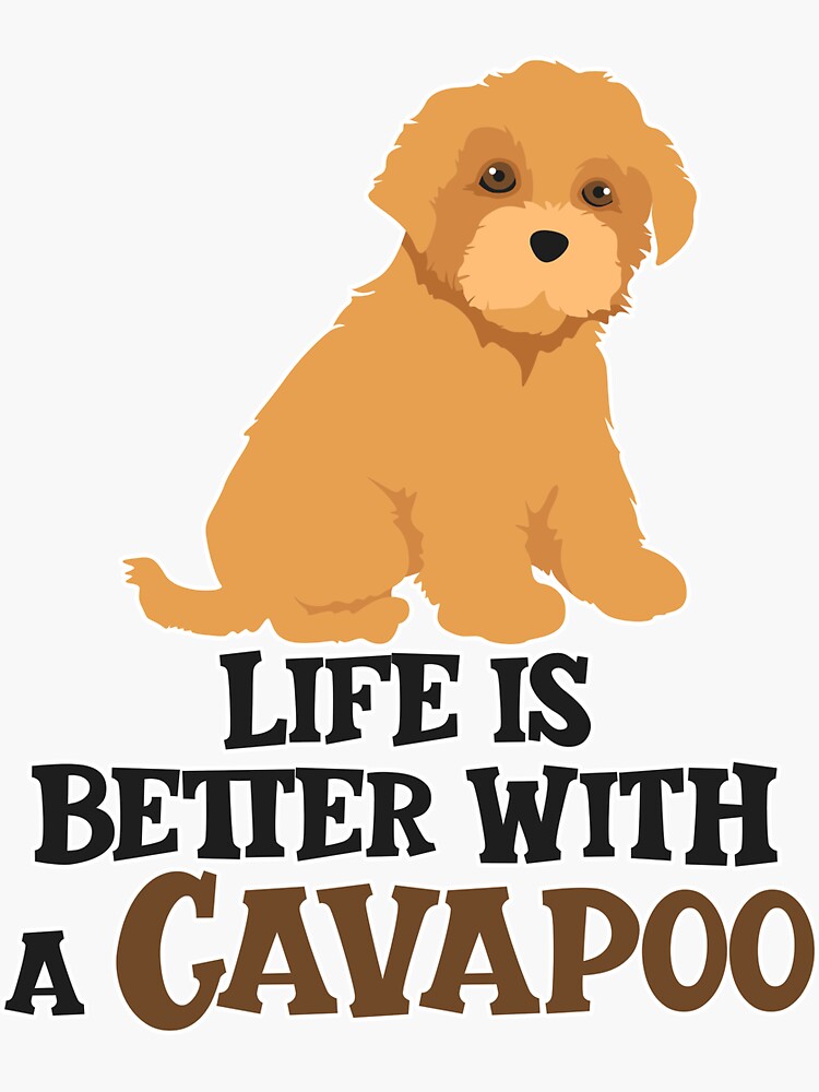 "Life is Better With A Cavapoo" Sticker for Sale by nextneveldesign | Redbubble
