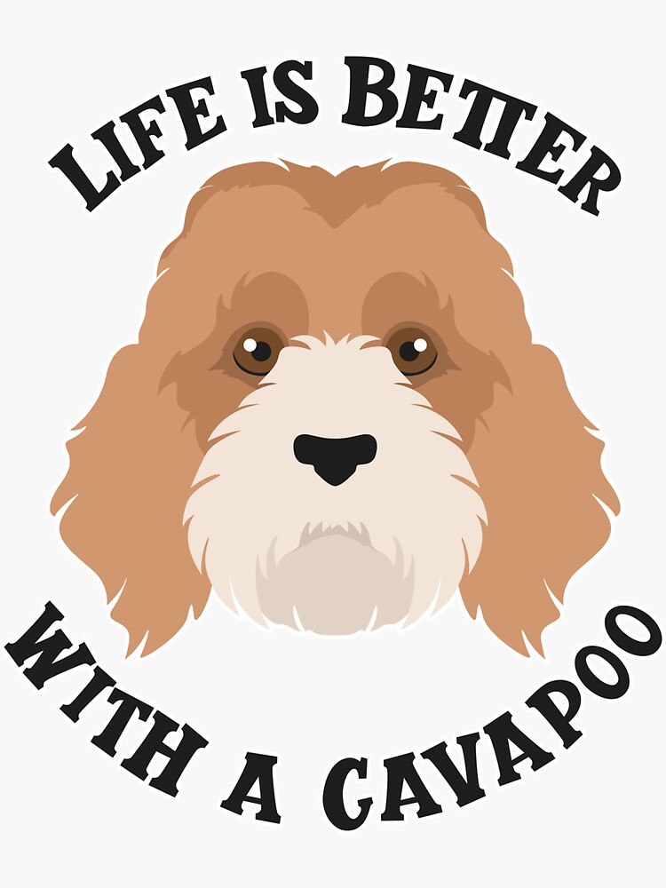 "Life is Better With A Cavapoo" Sticker for Sale by nextneveldesign ...