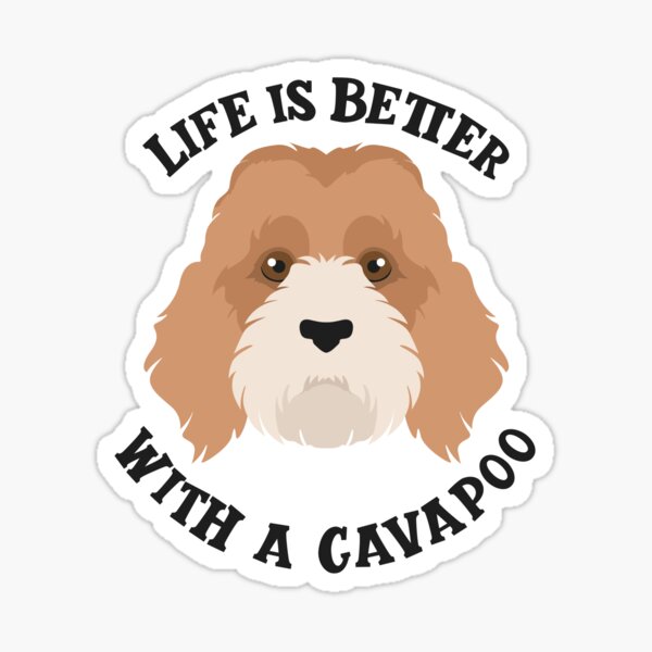 "Life is Better With A Cavapoo" Sticker for Sale by nextneveldesign ...