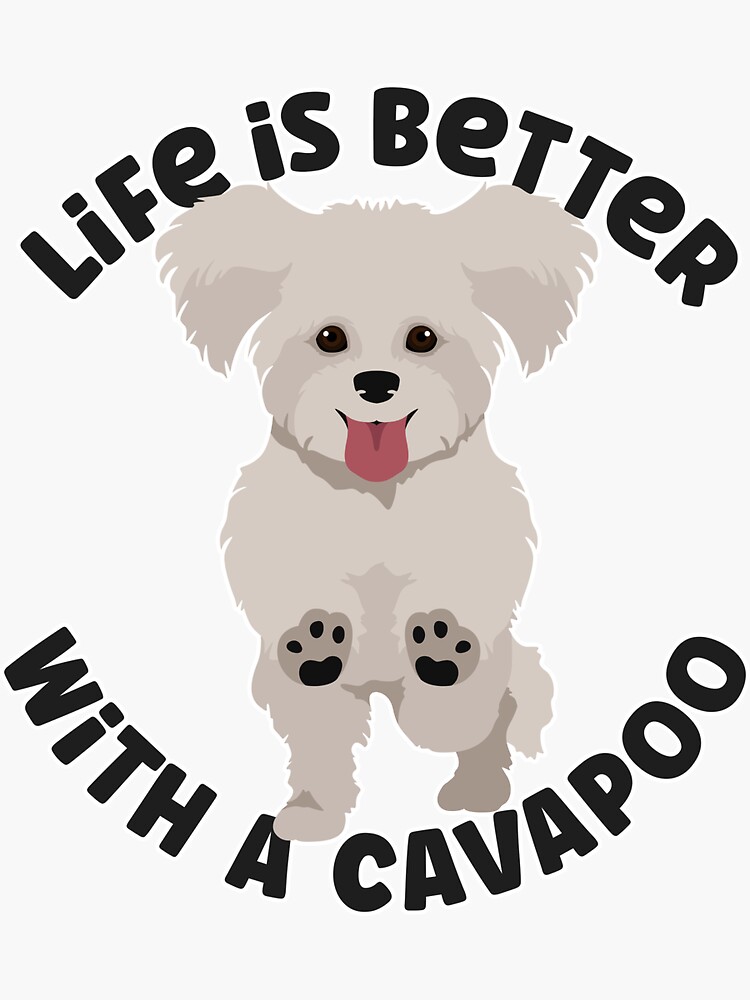 "Life is Better With A Cavapoo" Sticker for Sale by nextneveldesign | Redbubble