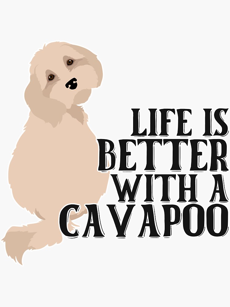 "Life is Better With A Cavapoo" Sticker for Sale by nextneveldesign | Redbubble