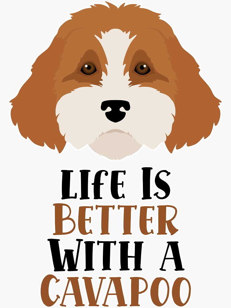 "Life is Better With A Cavapoo" Sticker for Sale by nextneveldesign | Redbubble