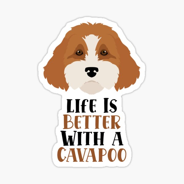 Cavapoo Merch & Gifts for Sale | Redbubble