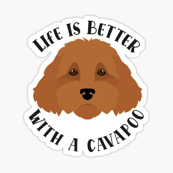 "Life is Better With A Cavapoo" Sticker for Sale by nextneveldesign | Redbubble