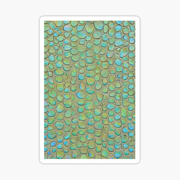 "Iridescent Abalone Pebble Shells" Sticker for Sale by savesarah ...