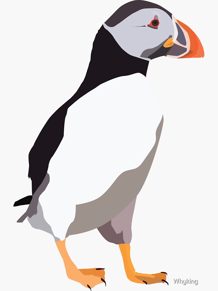 "Smiling Puffin | Vector Drawing" Sticker for Sale by Whyking | Redbubble