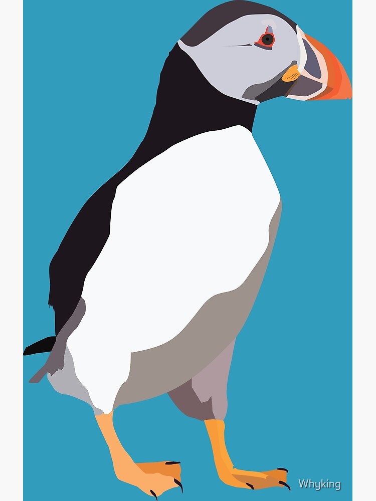 "Smiling Puffin | Vector Drawing" Poster by Whyking | Redbubble