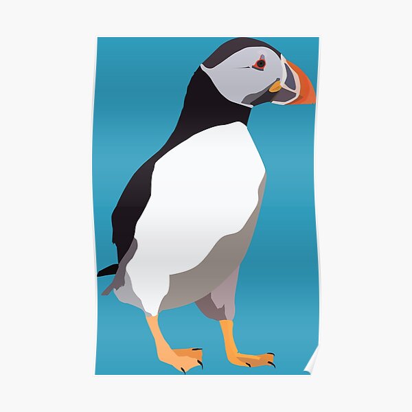 "Smiling Puffin | Vector Drawing" Poster by Whyking | Redbubble