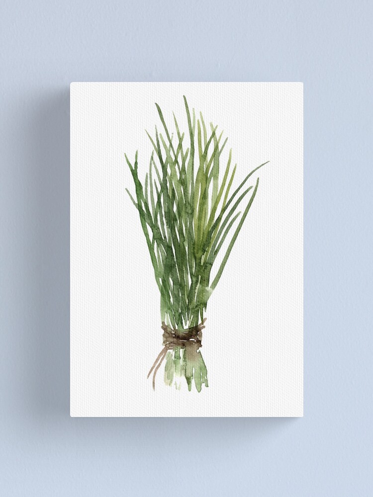"Chive Art Print Modern Wall Decor Watercolor Painting" Canvas Print ...
