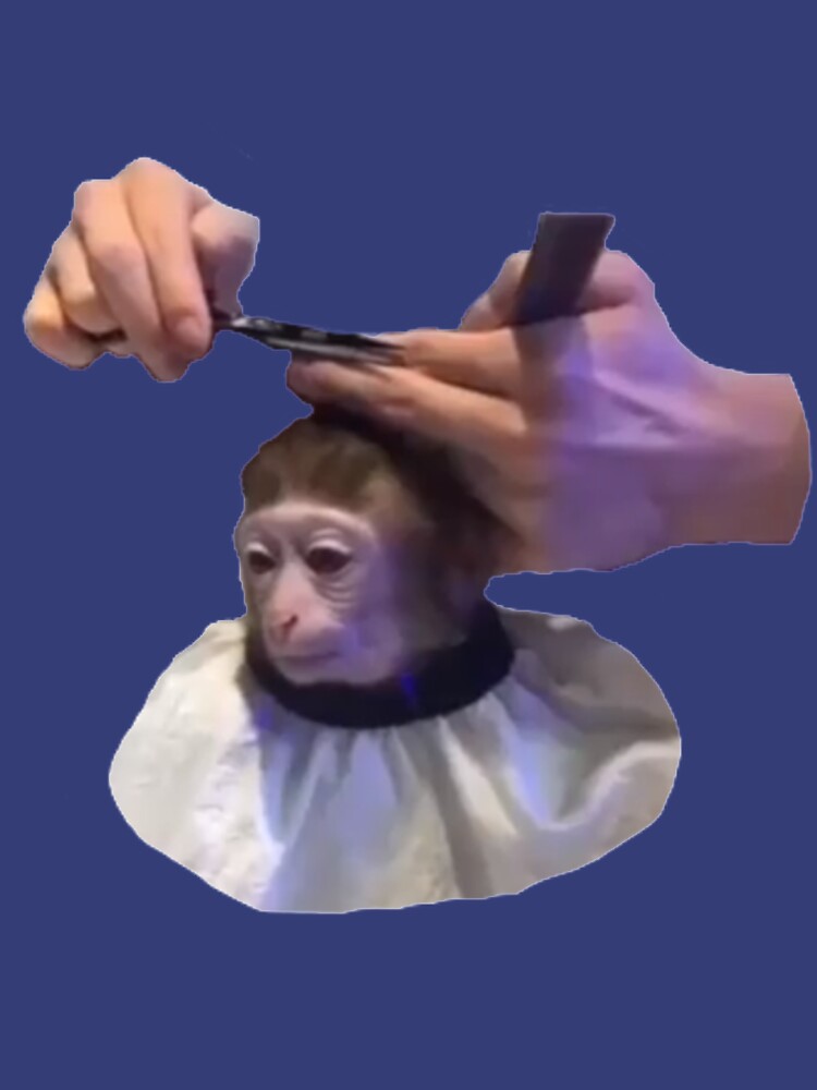 "Monkey Haircut" T-shirt for Sale by JonahKT | Redbubble | meme t ...