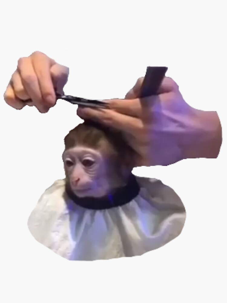 "Monkey Haircut" Sticker for Sale by JonahKT | Redbubble