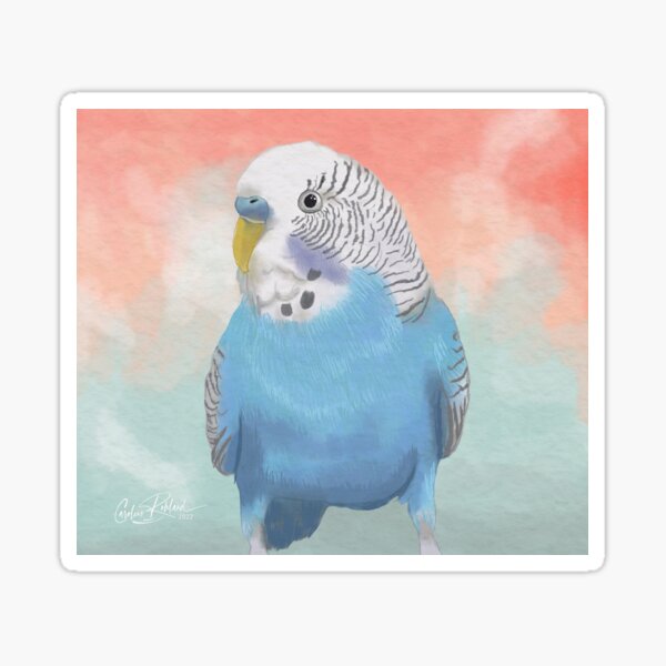 "Budgie" Sticker for Sale by CarolineRowland | Redbubble