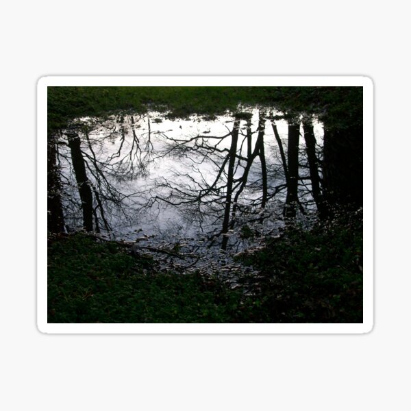 "Black and White - water, trees, mirror reflection " Sticker for Sale ...
