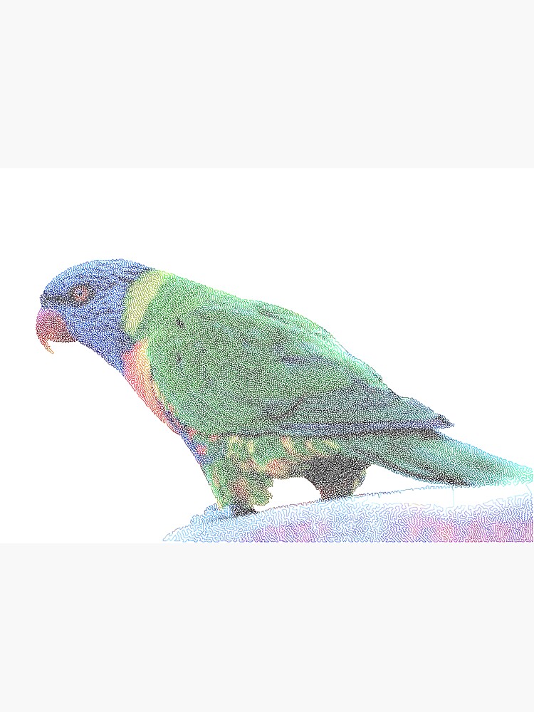 "Parrot - color TSP-art" Sticker for Sale by virtuPIC | Redbubble