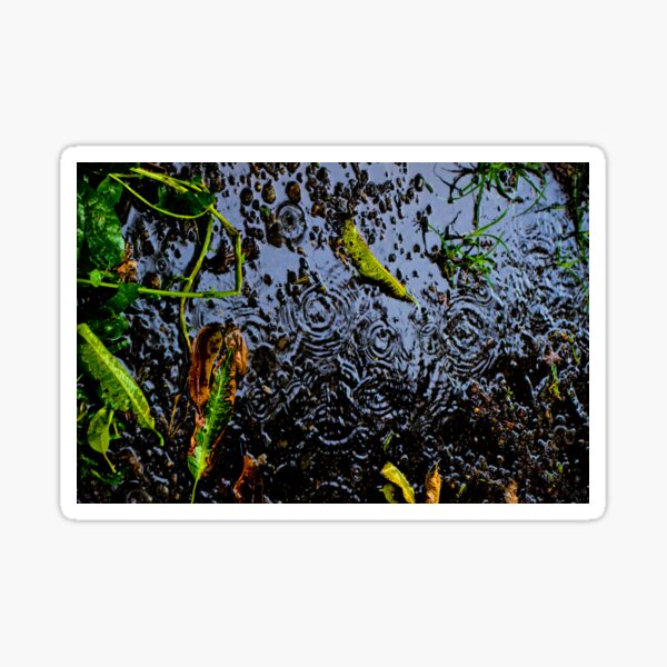 "Beauty In A Puddle" Sticker for Sale by alabca | Redbubble