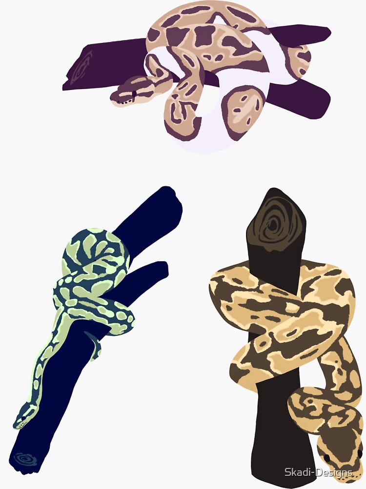 "Ball python morphs" Sticker for Sale by Skadi-Designs | Redbubble