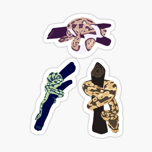 "Ball python morphs" Sticker for Sale by Skadi-Designs | Redbubble