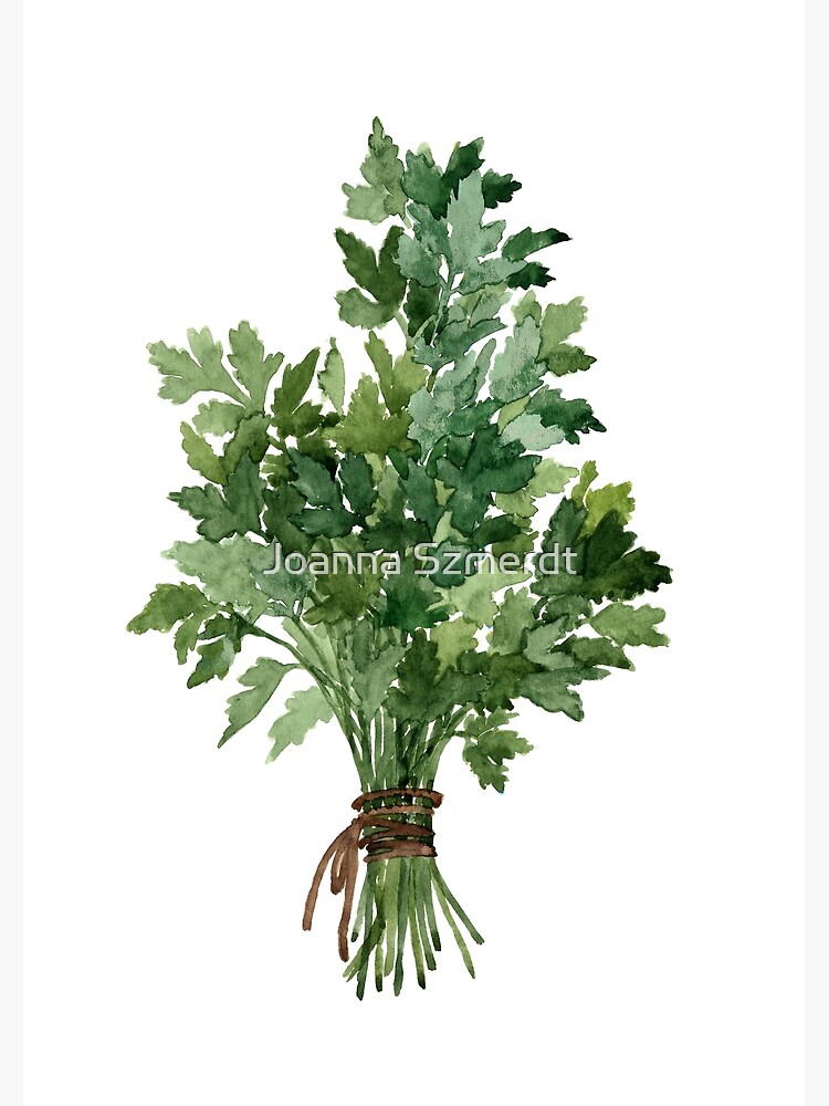 "Parsley Art Print Abstract Wall Decor Watercolor Painting" Canvas ...