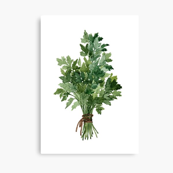 "Parsley Art Print Abstract Wall Decor Watercolor Painting" Canvas ...
