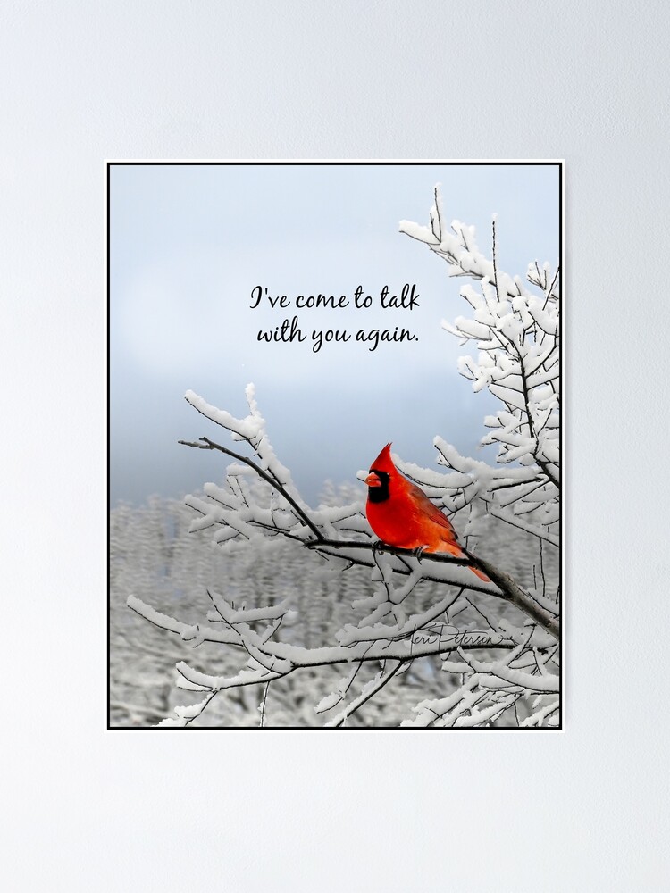 "Visiting Red Cardinal Bird" Poster for Sale by FlowerPower4U | Redbubble