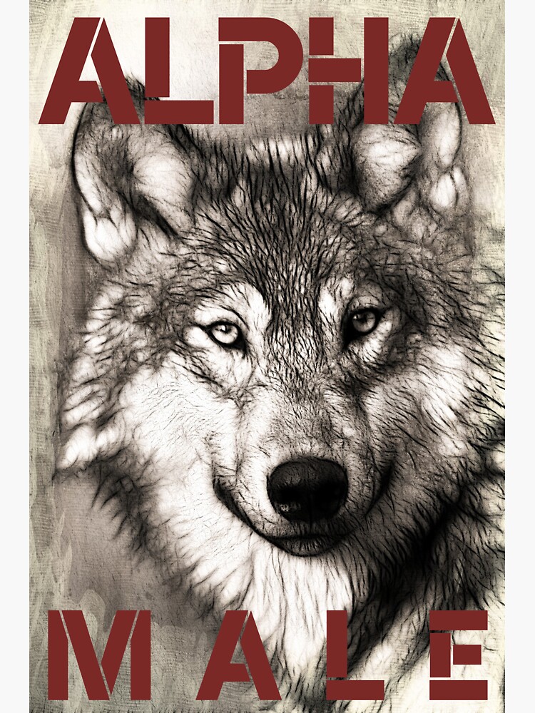 "ALPHA MALE WOLF" Sticker for Sale by Maxx-Art | Redbubble