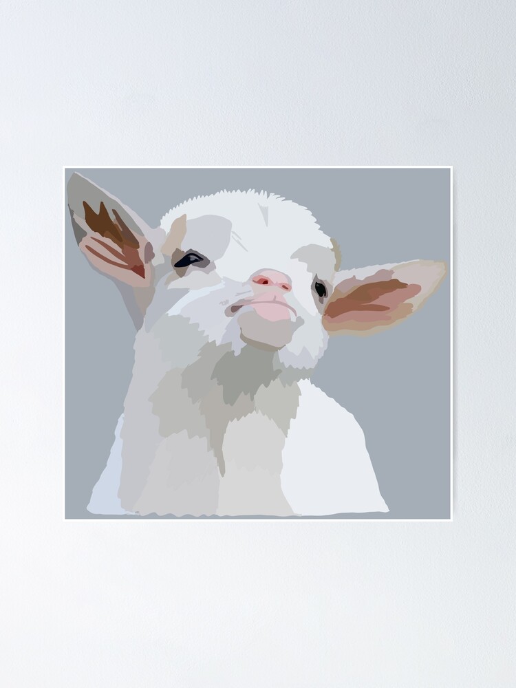 "Cute baby goat" Poster for Sale by aimeetregunno | Redbubble