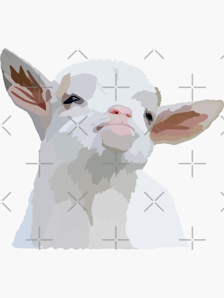 "Cute baby goat" Sticker for Sale by aimeetregunno | Redbubble