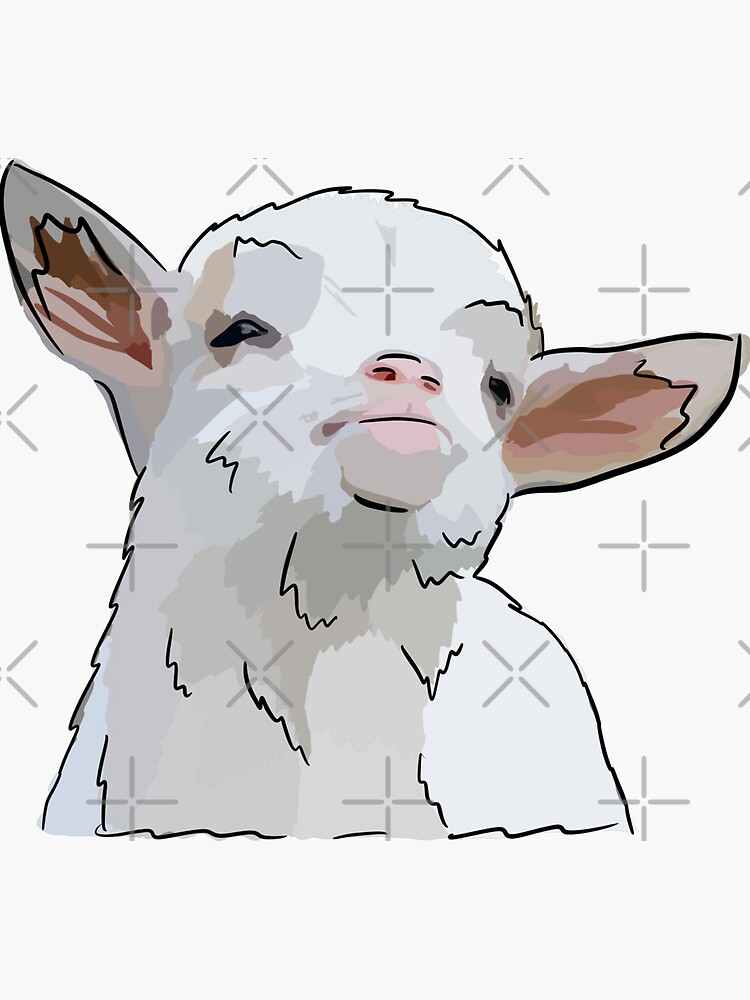 "Cute baby goat" Sticker for Sale by aimeetregunno | Redbubble