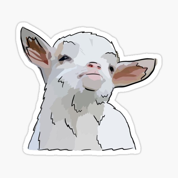 "Cute baby goat" Sticker for Sale by aimeetregunno | Redbubble