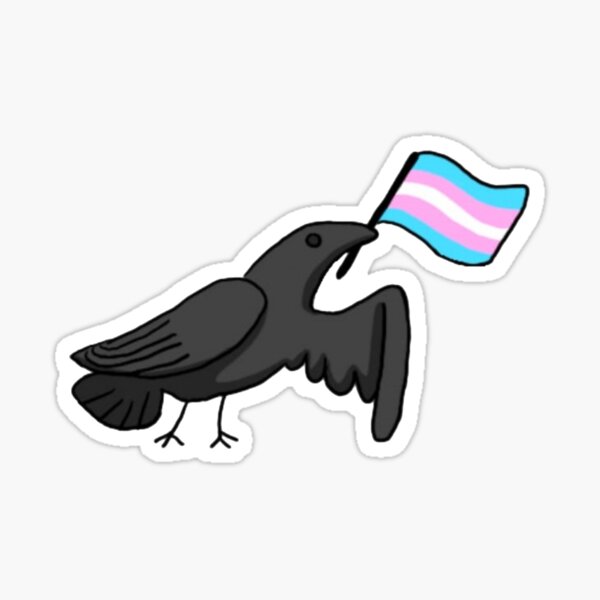 "Transgender Pride Crow" Sticker for Sale by KamsArtSales | Redbubble