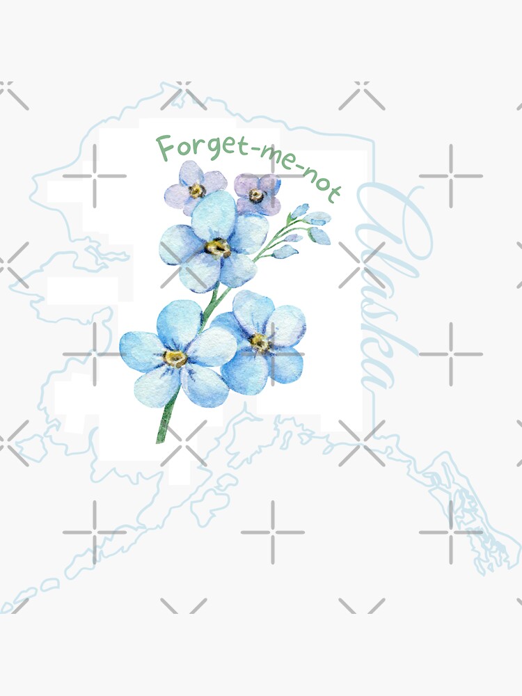 "Alaska State Flower Forget Me Not" Sticker for Sale by alittlefabulous ...