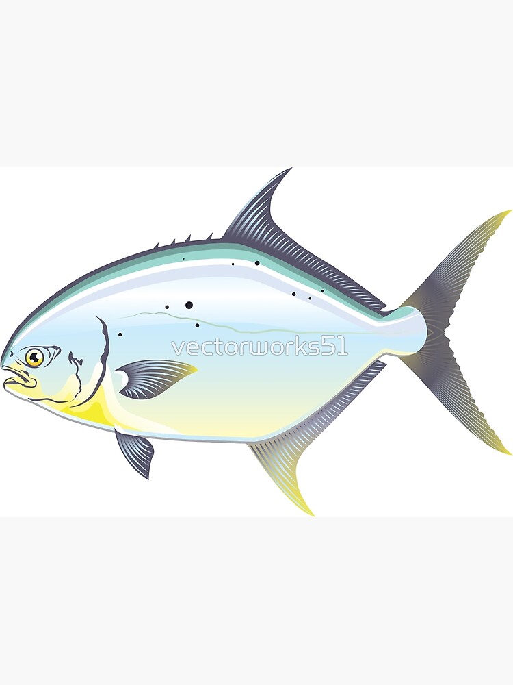 "Pompano Fish " Art Print for Sale by vectorworks51 | Redbubble