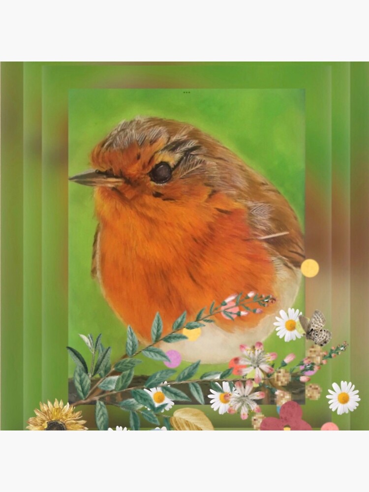 "Robin Redbreast bird wildlife art nature British garden birds painting ...