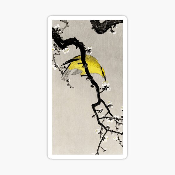 "Chinese Oriole on a Plum Blossom Branch, early 1900s - Vintage ...