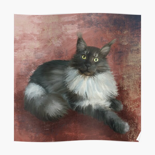 "Cute Maine Coon cat portrait " Poster for Sale by IGMLEGACY | Redbubble