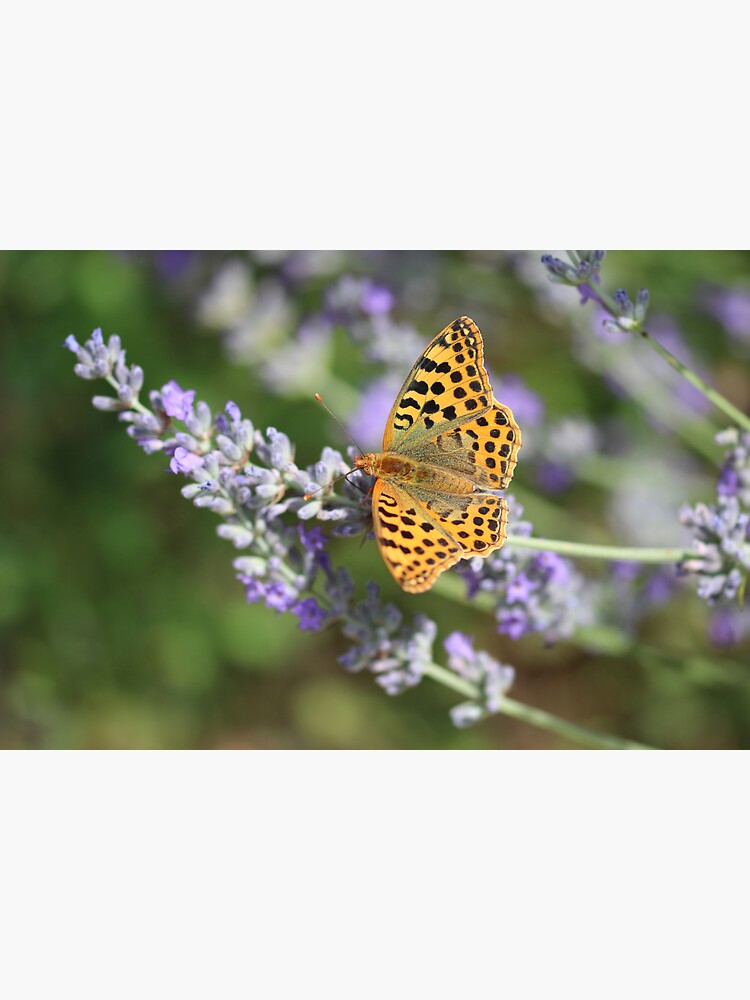 "Fritillary Butterfly Wings" Sticker for Sale by SweepingShadows ...