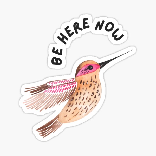 "Boho Hummingbird, Be Here Now" Sticker for Sale by BohemiWANDERS ...