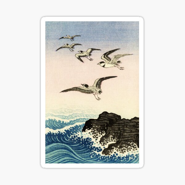 "Five Seagulls at Sea, early 1900s - Vintage" Sticker for Sale by Sarah ...