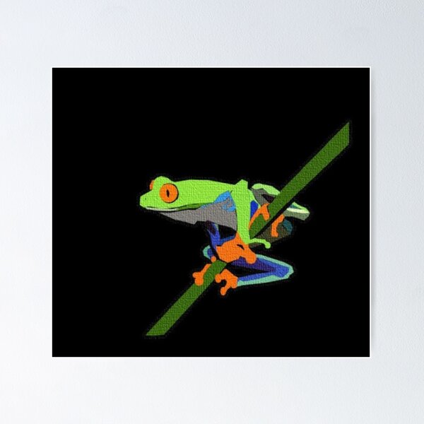 "Red-Eyed Green Tree Frog" Poster for Sale by MissLaKill | Redbubble
