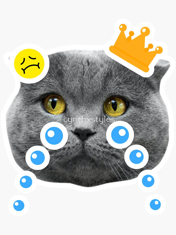 "Crying Cat " Sticker for Sale by cynthxstyles | Redbubble