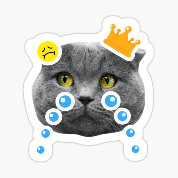 "Crying Cat " Sticker for Sale by cynthxstyles | Redbubble