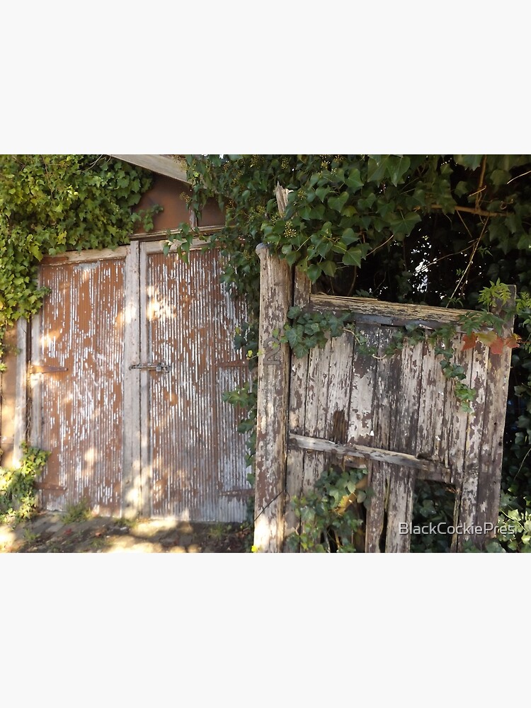 "Cottagecore shed with ivy" Poster for Sale by BlackCockiePres | Redbubble