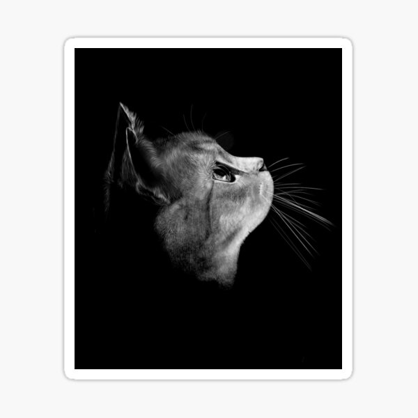 "Midnight cat | cat lover | black paper drawing " Sticker for Sale by ...