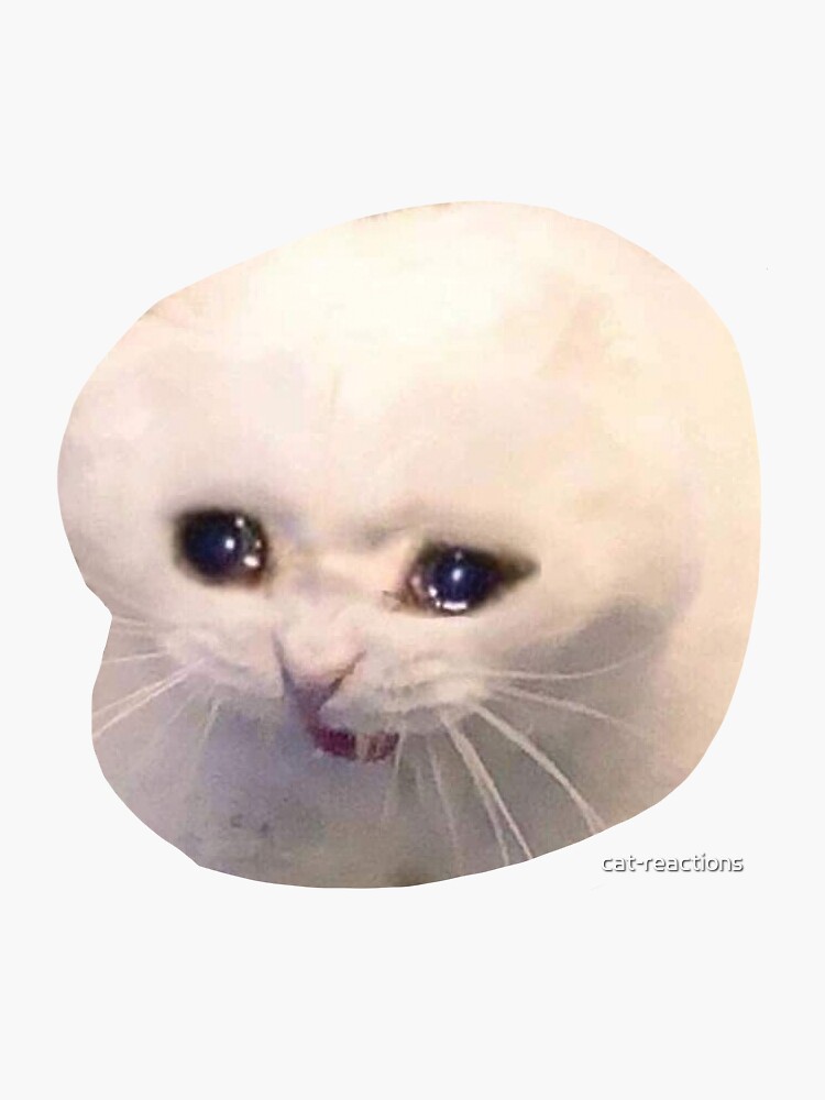 "Crying Cat Meme #1" Sticker for Sale by cat-reactions | Redbubble